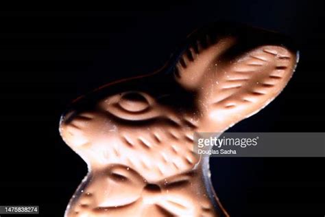Rabbit Candy Photos And Premium High Res Pictures Getty Images