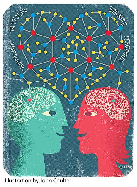 The Love Hormone And Its Disregarded Sibling Mapping Ignorance
