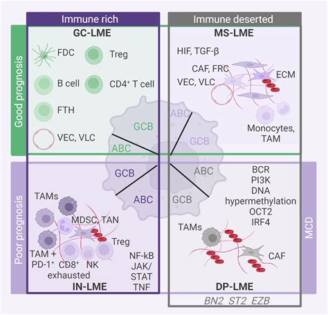 The Role Of Genetic Drivers Of Dlbcl In The Tumor Microenvironment
