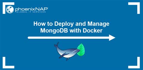How To Create A Collection In Mongodb Phoenixnap Kb