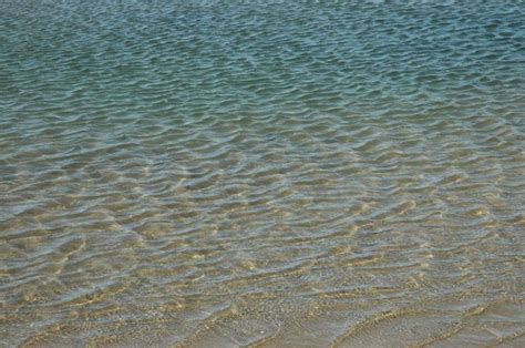 하루천자 박일환의 의성의태어의 발견＜1＞ 아시아경제