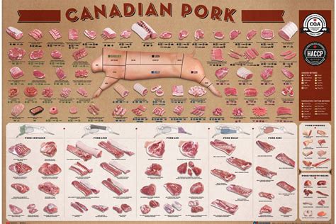 Pork Cuts Chart