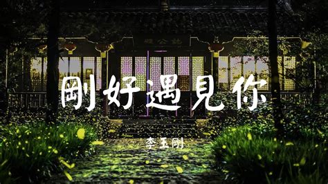 刚好遇见你 李玉刚【动态歌词 Lyric】 高音质「如果再相遇 我想我会记得你」 Youtube