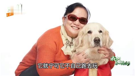 导盲犬贝贝陪伴主人十年后离世，主人痛哭，遗憾没能好好送走它凤凰网视频凤凰网