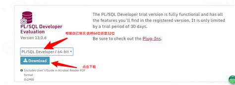 Oracle数据库、plsql的下载安装及汉化plsql32位下载 Csdn博客