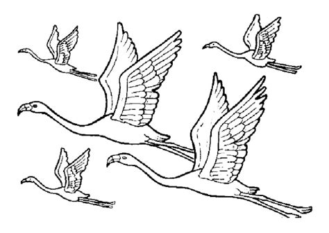 Parihuana Dibujo Para Colorear Molon Printable