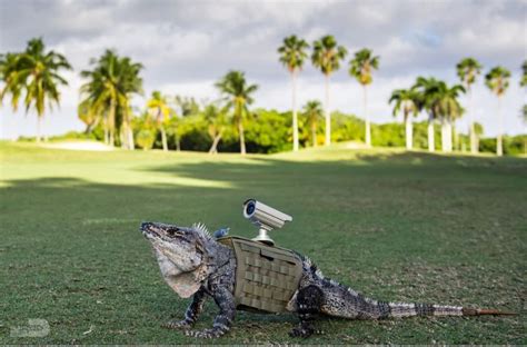 Meanwhile In Florida John Risenhoover