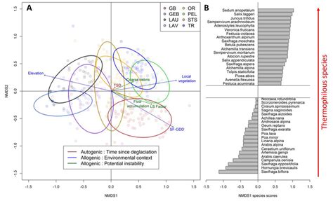 Std Vector Multidimensional