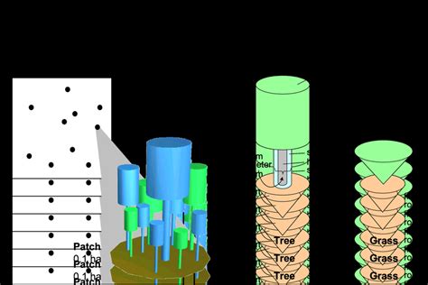 Fig B1 Vegetation Representation In Lpj Guess Cohort Mode Download Scientific Diagram