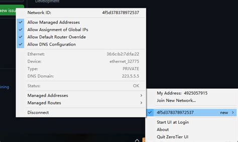 请教下手机和电脑都连接成功了为啥ip无法访问 Issue 45 kaaass ZerotierFix GitHub