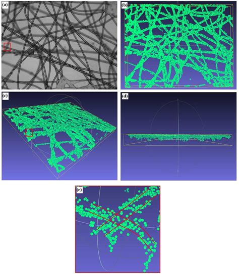 Figure 12 From Convolutional Neural Network For Extracting 3d Point Clouds Of Fibrous Web From
