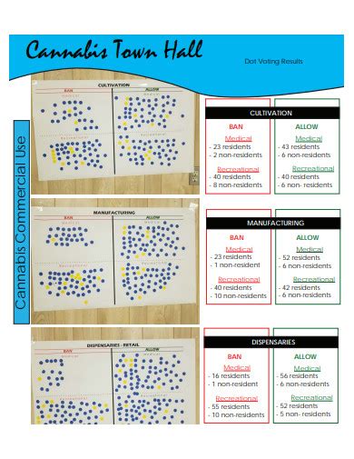 Free 10 Dot Voting Samples In Pdf Free 10 Dot Voting Samples In Pdf
