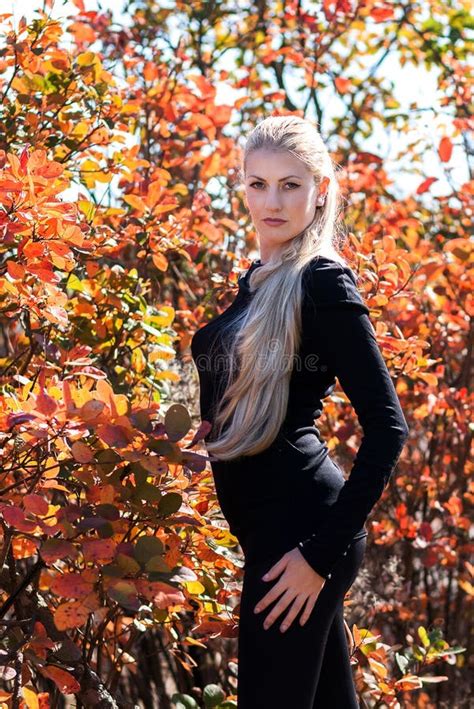 Attractive Young Woman With Long Beautiful Blonde Hair Posing Stock