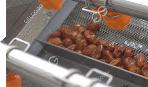 Factory Customization Dates Processing Line With Washing Drying Sorting