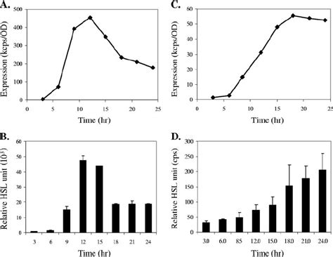 Correlation Between Synthase Gene Expression And Hsl Production A