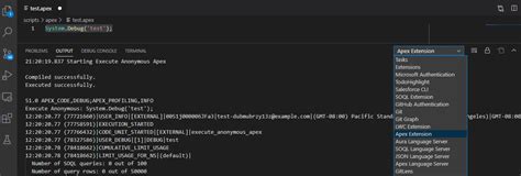 apex vscodedx is no longer showing execute anonumous debug logs in the output panel