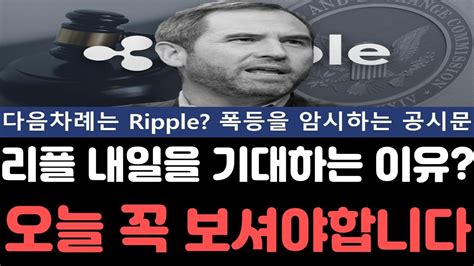 리플전망 리플 주말에 갑자기 Xrp폭등랠리를 암시하는 Ceo 이번엔 리플 차례다 오늘 영상은 꼭 보셔야합니다 리플전망 리플호재 리플급등 리플코인 리플소송