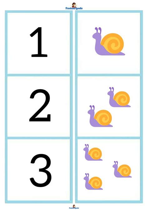 Fun Snail Math Activities For Preschoolers