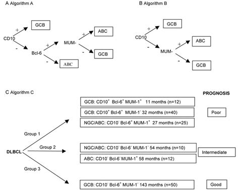 Predictive Ihc Algorithms Stratifying Dlbcl With Respect To Clinical