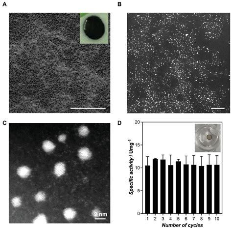 An Emerging Nanozyme Class For à La Carte Enzymatic‐like Activities