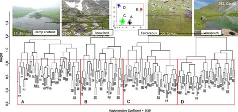 Dendrogram Showing Lake Ecosystem Types Clusters Based On Similarity Download Scientific