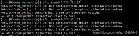 Sftpssh报错：etcsshsshconfig Line 20 Bad Configuration Option