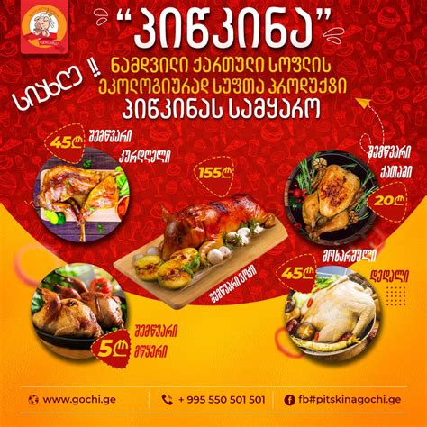 🔴 ს ი ა ხ ლ ე 🔴 მეგობრებო გვინდა შემწვარი გოჭი პიწკინა