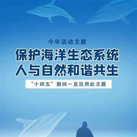 今年“全国海洋宣传日”活动主题定了！自然资源单位管社会