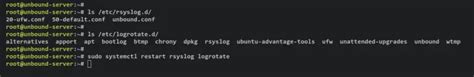 How To Set Up Local DNS Resolver With Unbound On Ubuntu 22 04