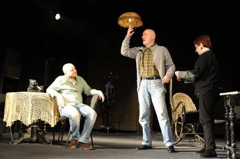 ამიკო 2014წ