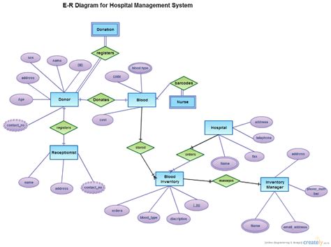 Blood Bank Management System In Vb Er Diagram Blood Bank Man