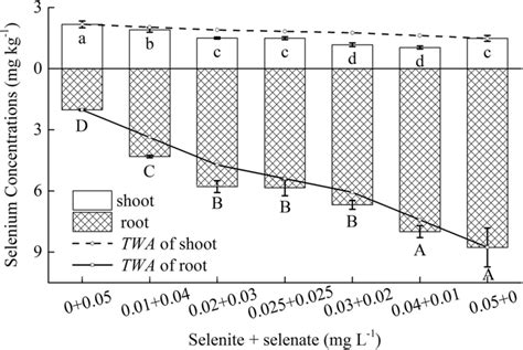 Total Selenium Concentrations And Their Theoretical Averages In Roots Download Scientific
