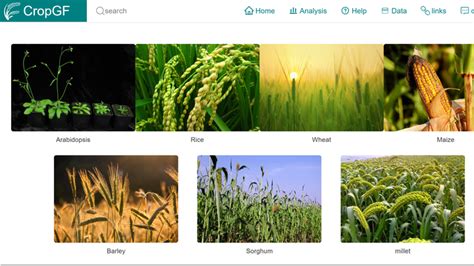 【生信漫谈】真正0代码分析基因家族时代到了 知乎
