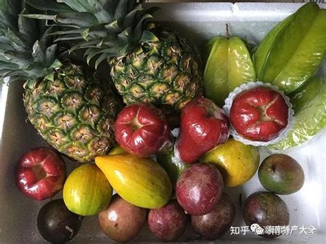 来海南必买的十大特产每一个都值得你带回家 知乎
