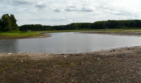 Карстовое озеро Ямное в Хвойнинском округе ушло под землю Gpvn Ru