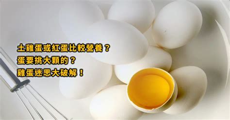 蛋黃膽固醇高？土雞蛋或紅蛋比較營養？蛋要挑大顆的？雞蛋迷思大破解！ 安心食代 食安知識網｜最貼近生活的食品安全知識網