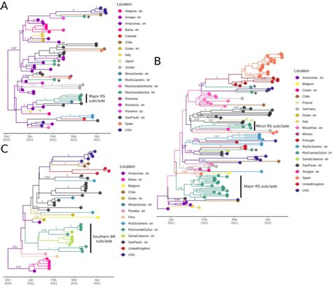 Bayesian Discrete Asymmetric Phylogeographic Analysis Of The Identified Download Scientific