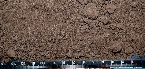 Грунт под фундамент – виды и характеристики грунтов, несущая способность