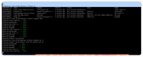 Install Crapi For The First Time ERROR For Crapi Web Container
