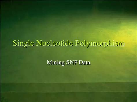 Ppt Single Nucleotide Polymorphism Powerpoint Presentation Free Download Id