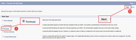 CASE Function In Salesforce
