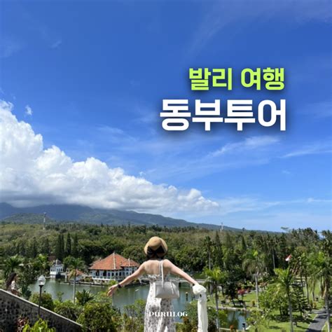 발리 동부투어 후기코스 소요시간 비용 총정리 네이버 블로그