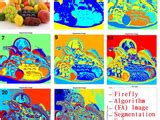 Firefly Algorithm Image Segmentation File Exchange Matlab Central