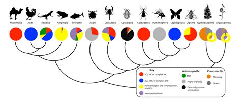 14 Interaction Of Multiple Selected Loci Biology Libretexts