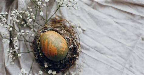 나무 테이블에 소박한 둥지에서 세련된 부활절 달걀 시골 섬유 배경에 흰색 봄 꽃이 있는 자연 염색 녹색 부활절 달걀 텍스트를