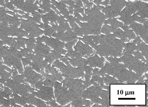 Microstructure Of In 718 Alloy Download Scientific Diagram