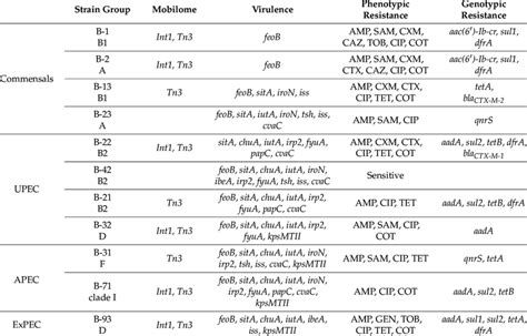 Combination Of Virulence Factors And Phenotypic And Genotypic Download Scientific Diagram