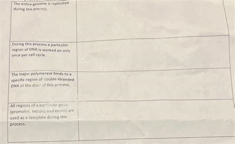 Solved Transcription Synthesis Of A New Molecule Of RNA The Chegg Com
