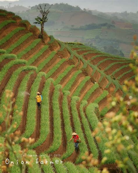 Pin Van Azam Khan Op Quick Saves