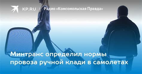 Минтранс определил нормы провоза ручной клади в самолетах Kp Ru